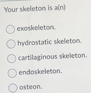Solved: a(n) exoskeleton. hydrostatic skeleton. cartilaginous skeleton ...