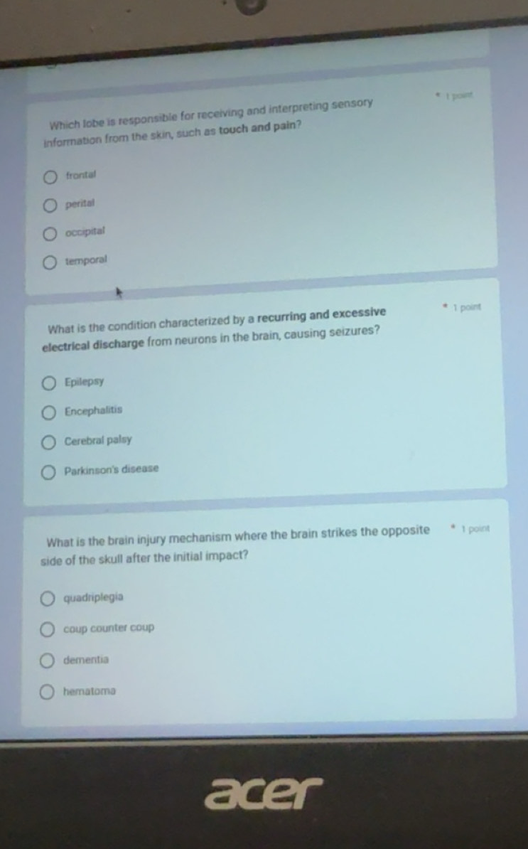 Solved: Which lobe is responsible for receiving and interpreting ...