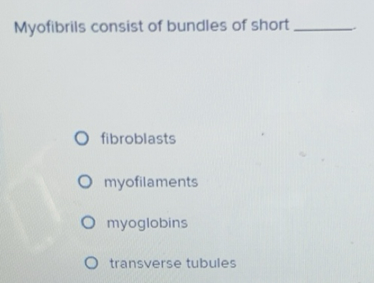 Solved: Myofibrils consist of bundles of short _,. fibroblasts ...