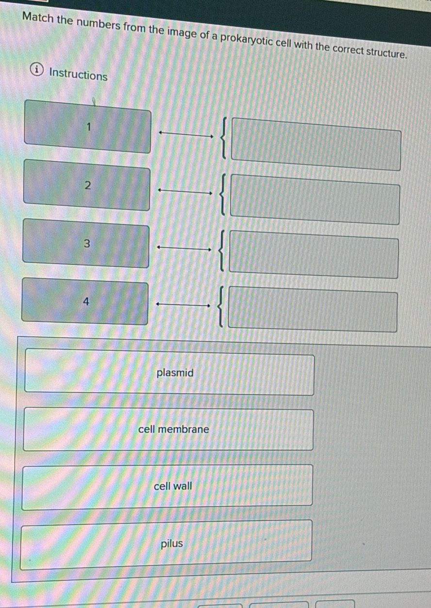 Solved: Match the numbers from the image of a prokaryotic cell with the correct structure ...