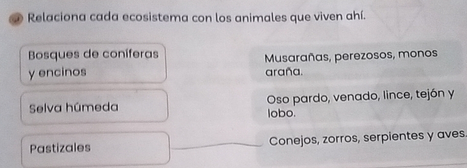 Resuelto:Relaciona cada ecosistema con los animales que viven ahí ...