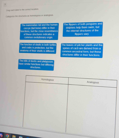 Drag each label to the correct location. Calegorize the structures as ...