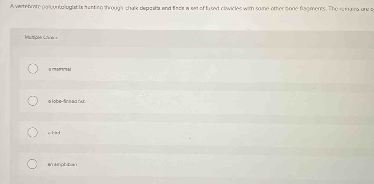 Solved: A vertebrate paleontologist is hunting through chalk deposits ...