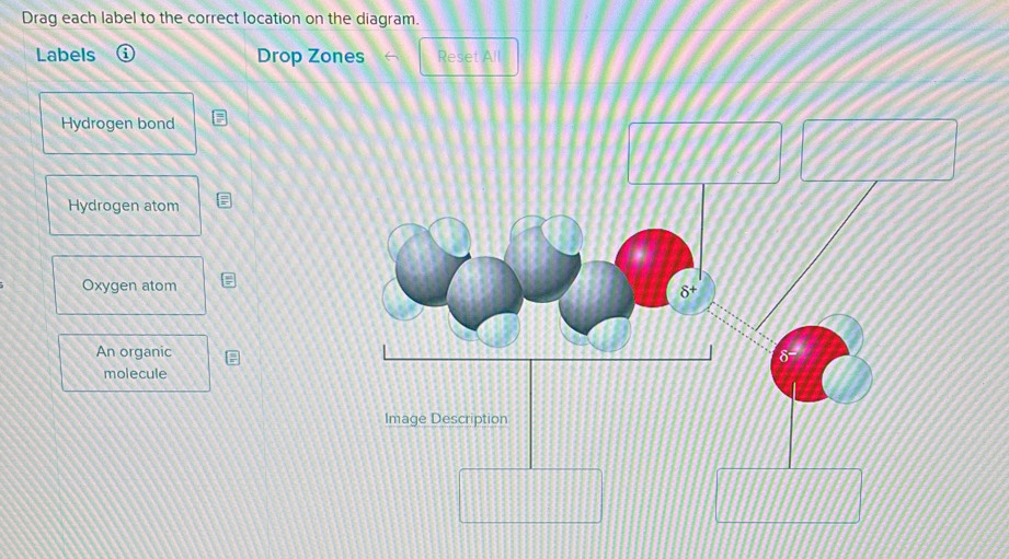 Solved: Drag each label to the correct location on the diagram. Labels ...