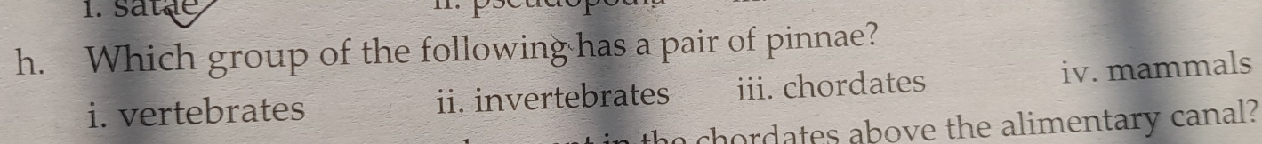 Solved: satae h. Which group of the following has a pair of pinnae? i ...
