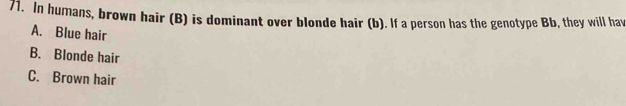 Solved: In humans, brown hair (B) is dominant over blonde hair (b). If ...