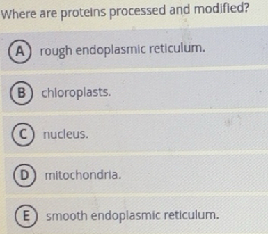 Solved: Where are proteins processed and modified? A rough endoplasmic ...