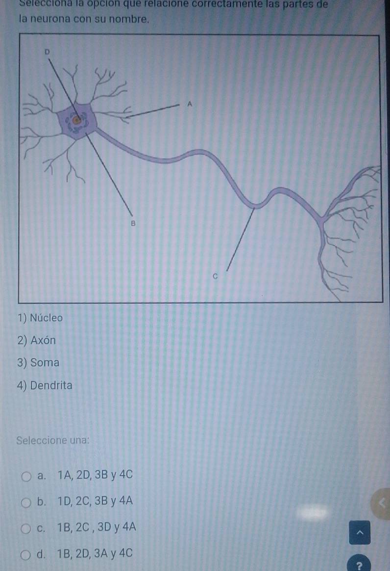 Resuelto:Selecciona la opción que relacione correctamente las partes de ...