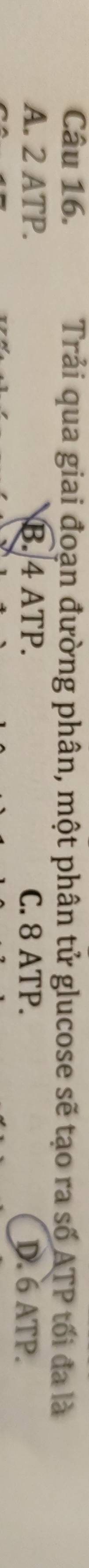 Giải quyết:Trải qua giai đoạn đường phân, một phân tử glucose sẽ tạo ra số ATP tối đa là A. 2 ...