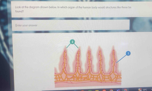 Solved: Look at the diagram shown below. In which organ of the human ...