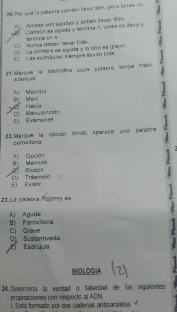 Resuelto:Por qué la palabra camión lleva tilde, pero lunes no A) Ambas ...