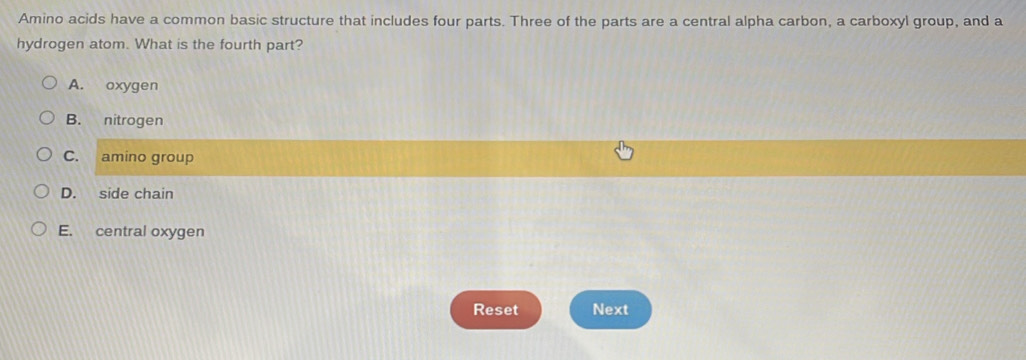 Solved: Amino acids have a common basic structure that includes four ...
