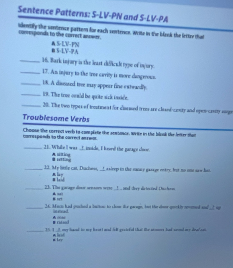 Solved: Sentence Patterns: S-LV-PN and S-LV-PA identify the sentence ...