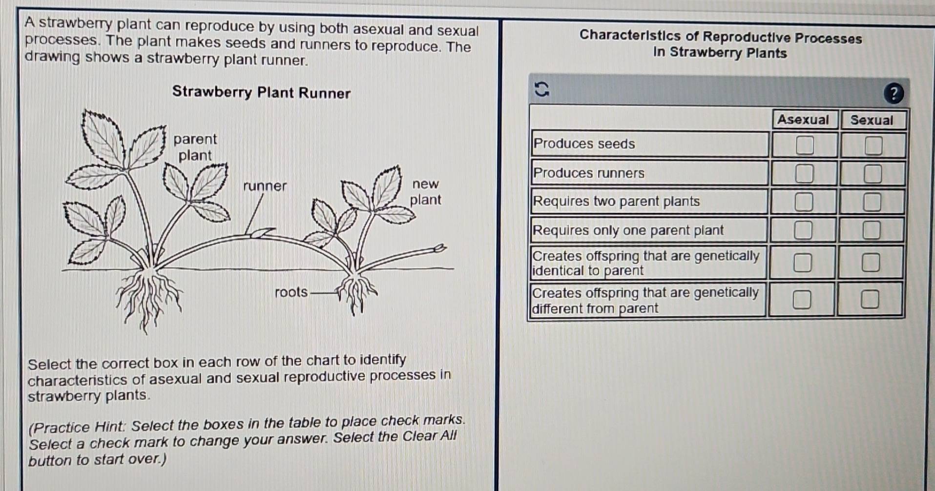 Solved: A strawberry plant can reproduce by using both asexual and ...