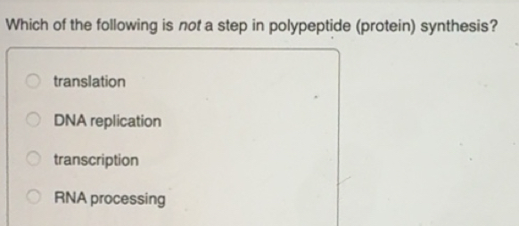 Solved: Which of the following is not a step in polypeptide (protein ...