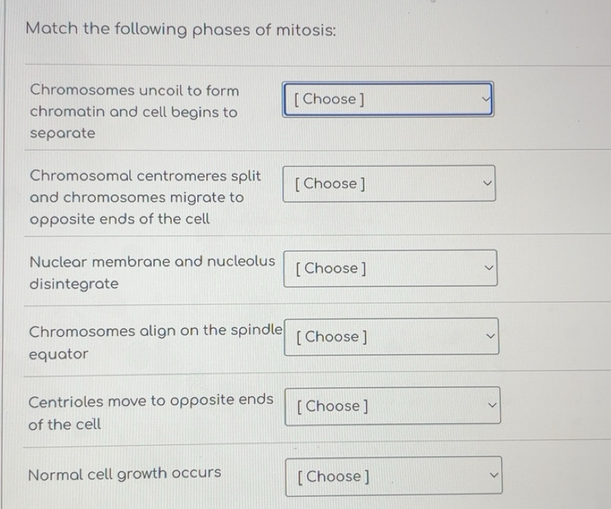 Solved: Match the following phases of mitosis: Chromosomes uncoil to ...