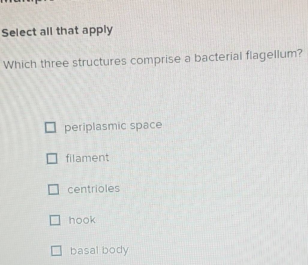 Solved: Select all that apply Which three structures comprise a bacterial flagellum? periplasmic ...