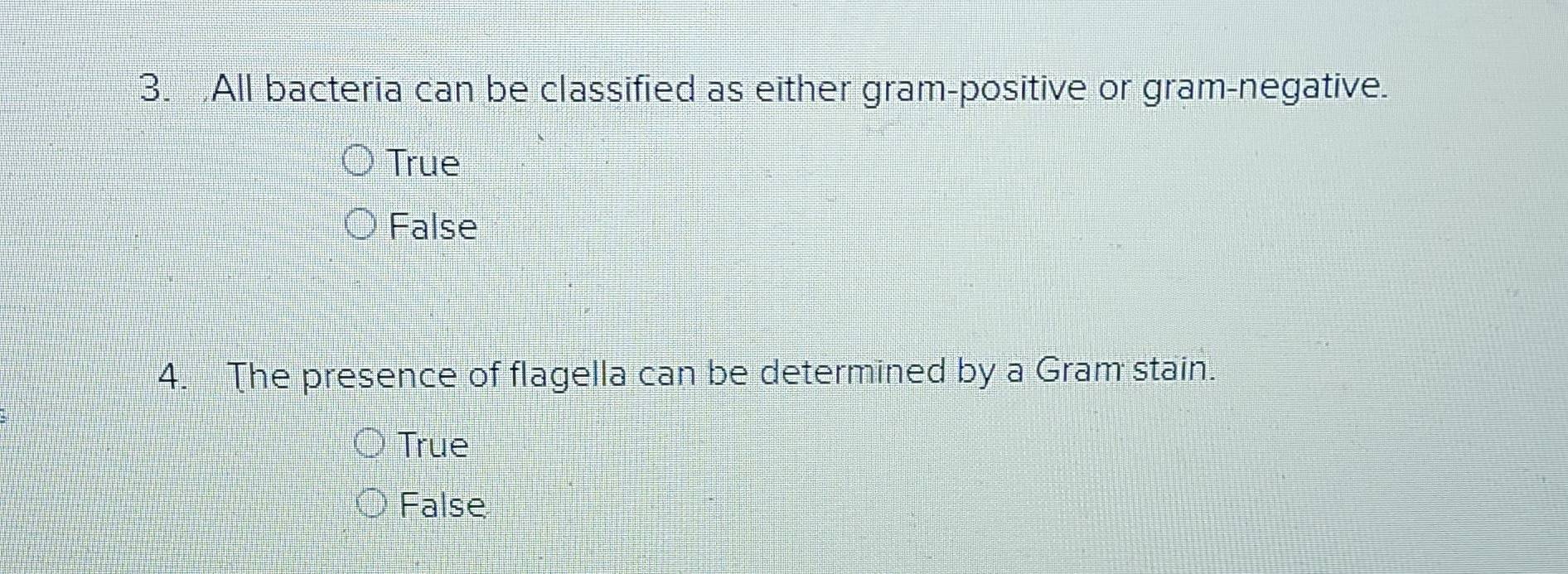 Solved: All bacteria can be classified as either gram-positive or gram ...