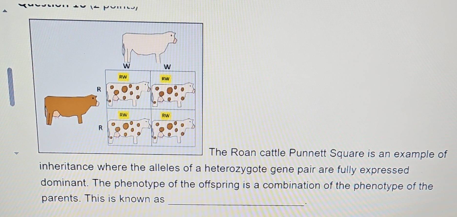Solved: he Roan cattle Punnett Square is an example of inheritance ...