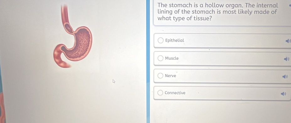Solved: The stomach is a hollow organ. The internal lining of the ...