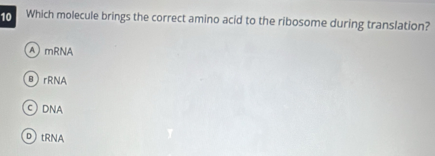 Solved: Which molecule brings the correct amino acid to the ribosome ...