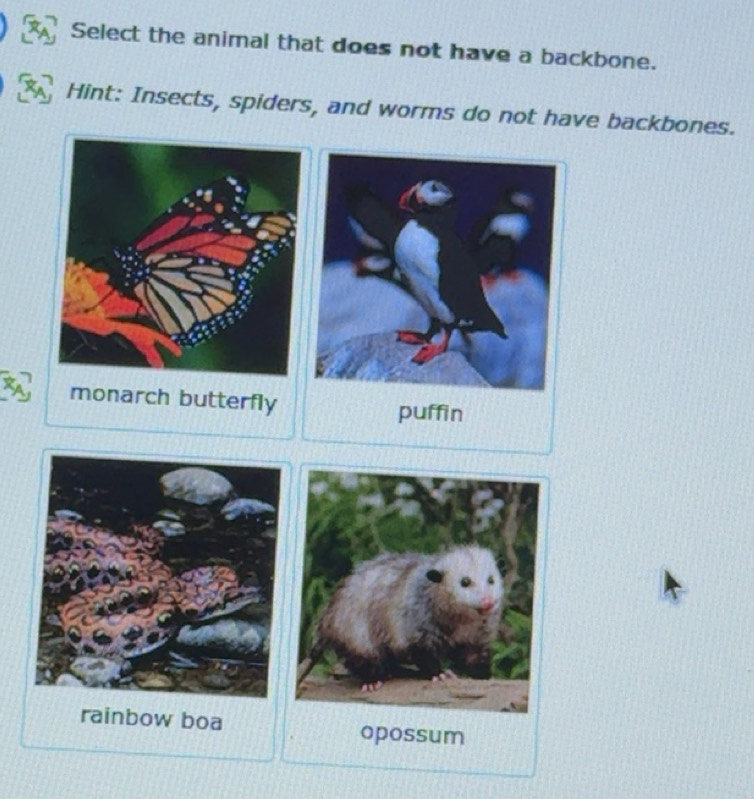 Gelöst:Select the animal that does not have a backbone. Hint: Insects ...