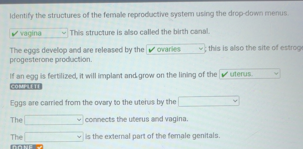 Solved: Identify the structures of the female reproductive system using ...