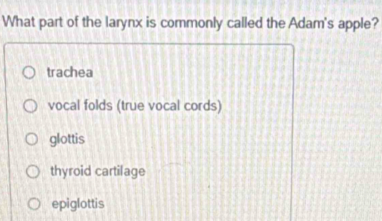 Solved: What part of the larynx is commonly called the Adam's apple ...
