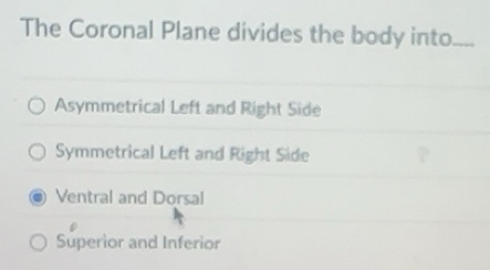 Resuelto:The Coronal Plane divides the body into... Asymmetrical Left ...