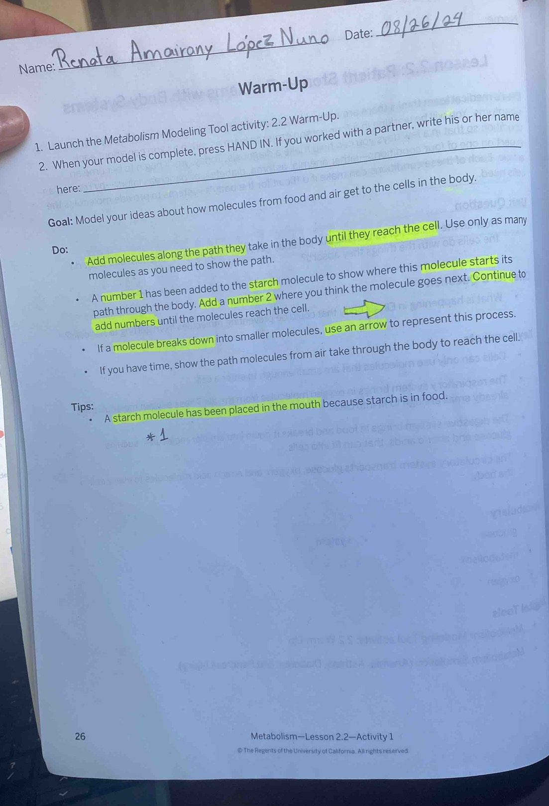Solved: Date: _ Name: _ Warm-Up 1. Launch the Metabolism Modeling Tool ...