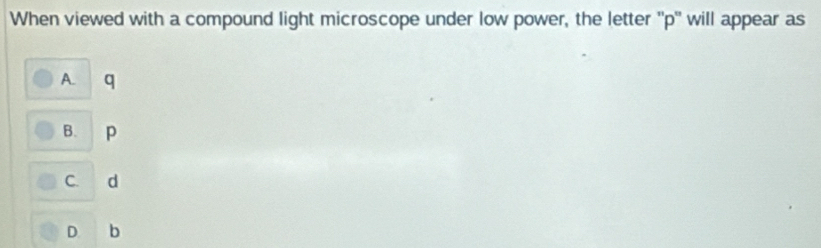 Solved: When viewed with a compound light microscope under low power ...