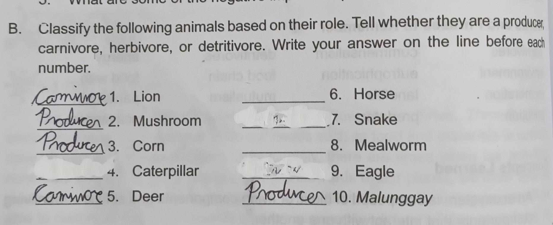 Solved: Classify the following animals based on their role. Tell whether they are a producer ...