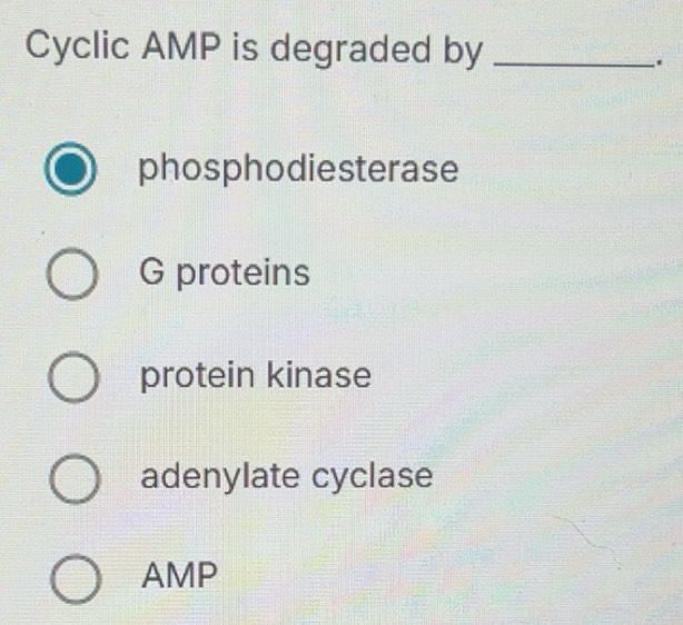 Solved: Cyclic AMP is degraded by_ . phosphodiesterase G proteins protein kinase adenylate ...