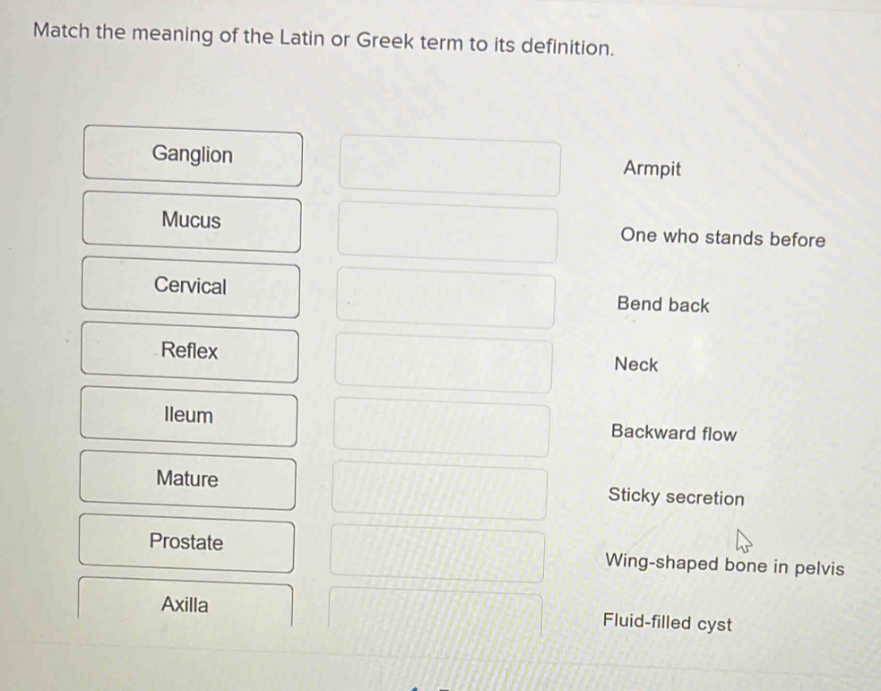 Solved: Match the meaning of the Latin or Greek term to its definition ...