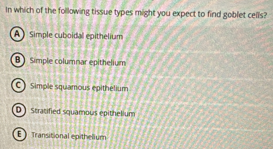 Solved: In which of the following tissue types might you expect to find ...