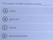 Solved: The myelin sheath consists of a(n) _ . Aaxon B glial cell C ...