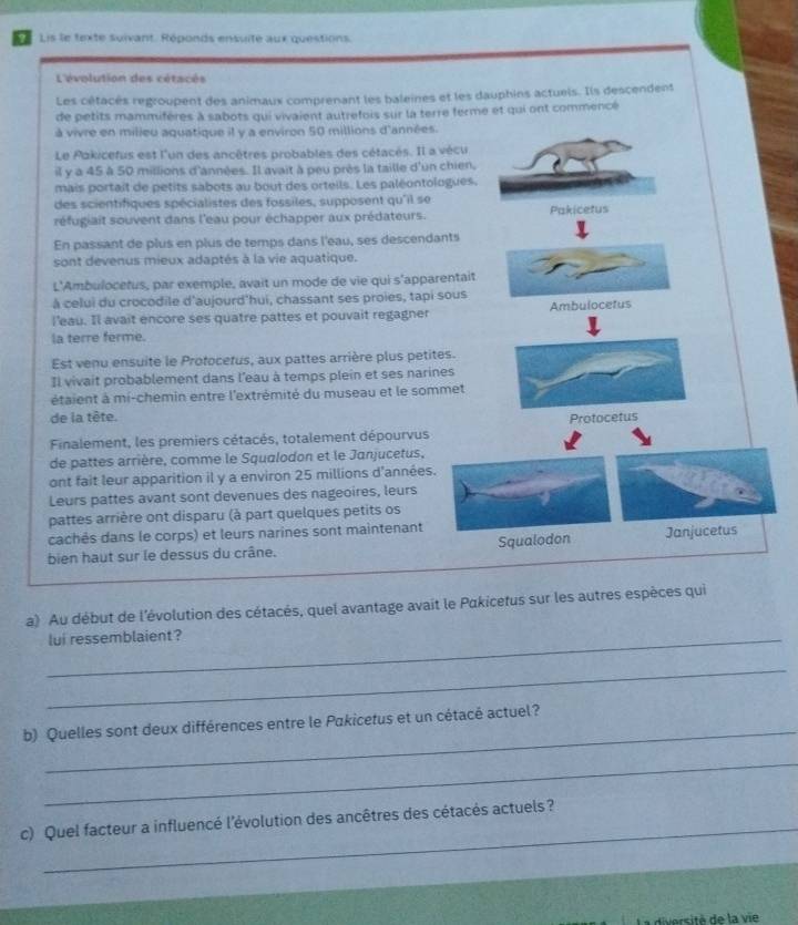 Solved: Lis le texte suivant. Réponds ensuite aux questions. L ...