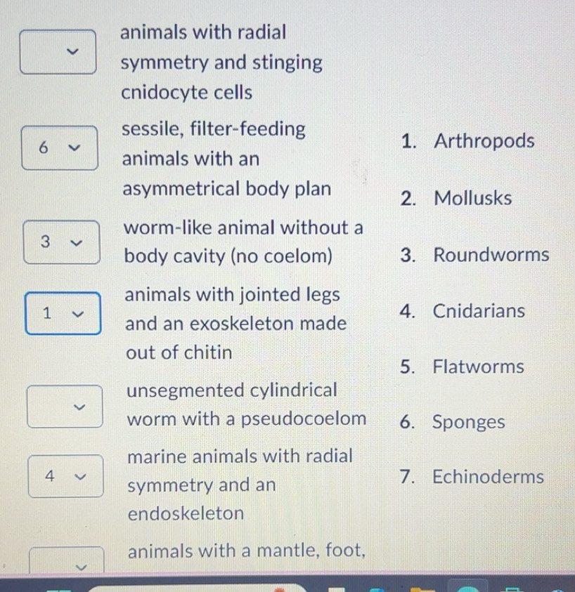 Solved: animals with radial symmetry and stinging cnidocyte cells ...