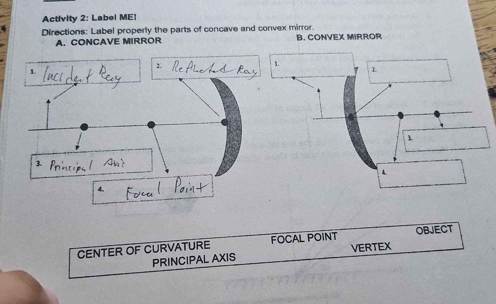 Solved: Activity 2: Label ME! Directions: Label properly the parts of ...