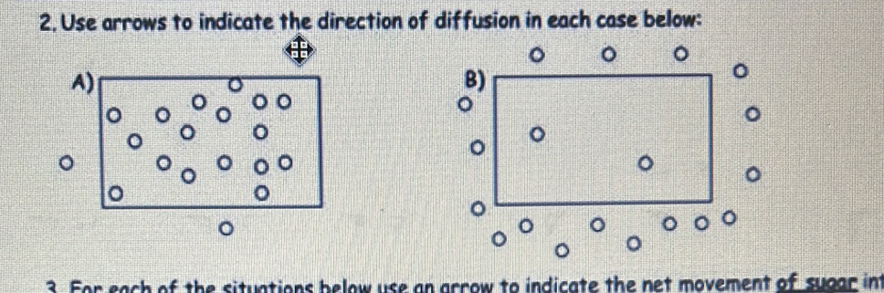Solved: Use arrows to indicate the direction of diffusion in each case ...
