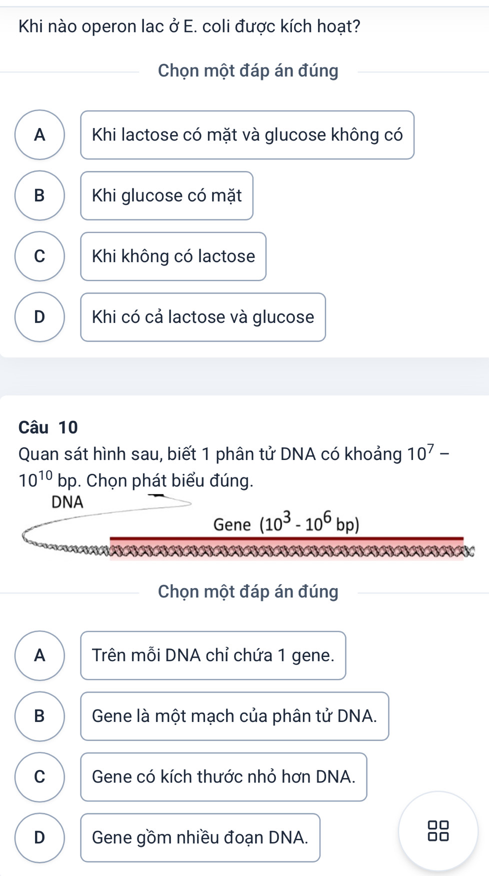 Giải quyết:Khi nào operon lac ở E. coli được kích hoạt? Chọn một đáp án ...