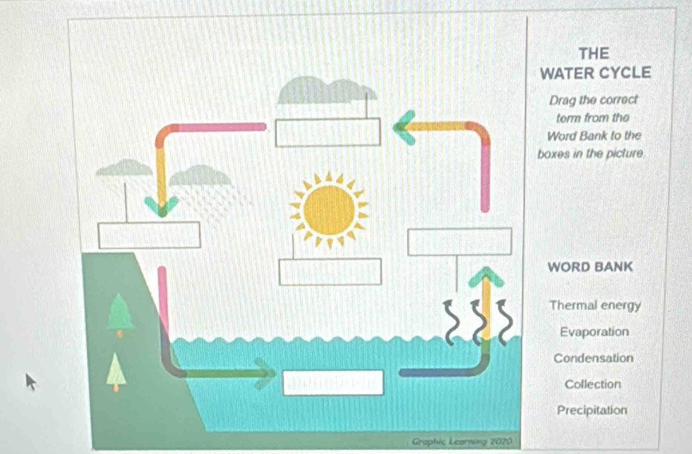 Solved: THE WATER CYCLE Drag the correct term from the Word Bank to the ...