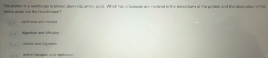 Solved: The protein in a hamburger is broken down into amino acids ...