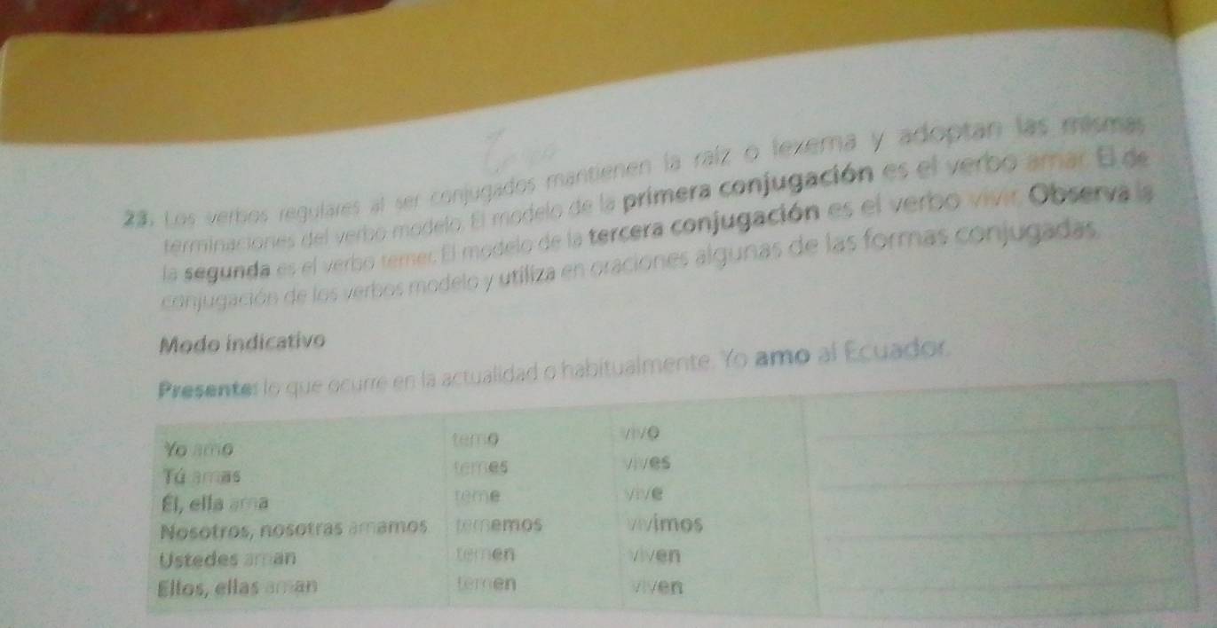 Resuelto:Los verbos regulares al ser conjugados mantienen la raíz o ...