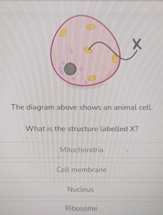 Solved: The diagram above shows an animal cell. What is the structure ...