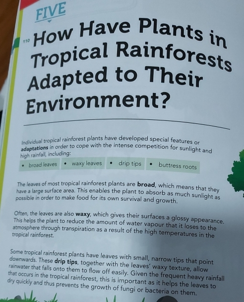 Solved: FIVE 110 How Have Plants in Tropical Rainforests Adapted to ...