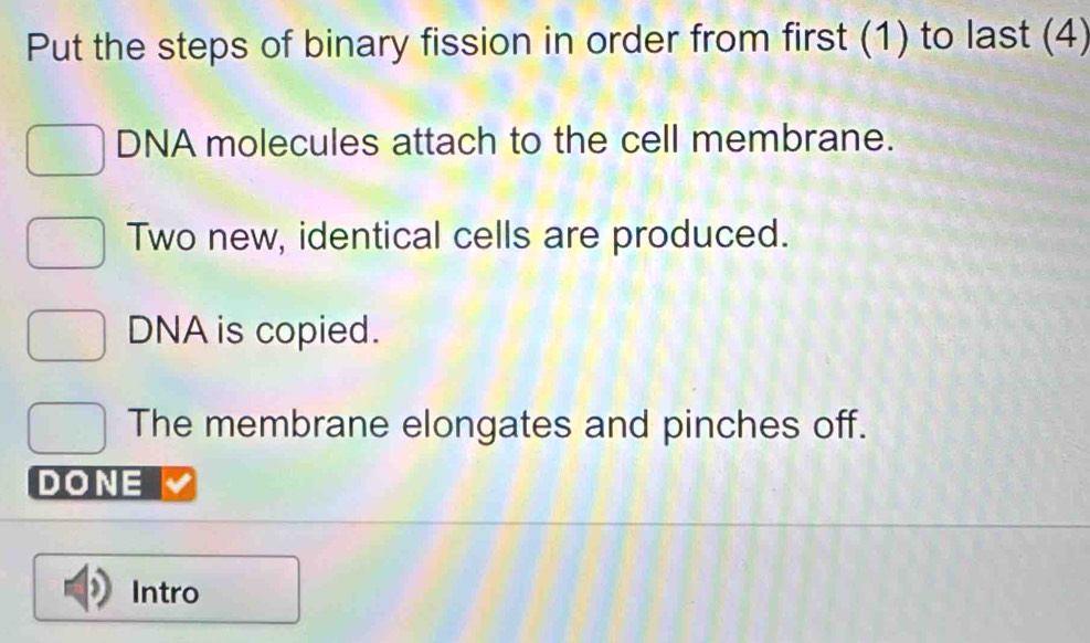 Solved: Put the steps of binary fission in order from first (1) to last (4) DNA molecules attach ...