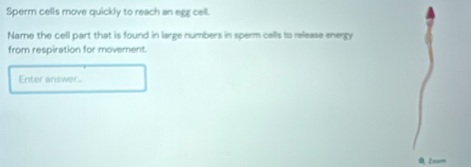 Solved: Sperm cells move quickly to reach an egg cell. Name the cell ...