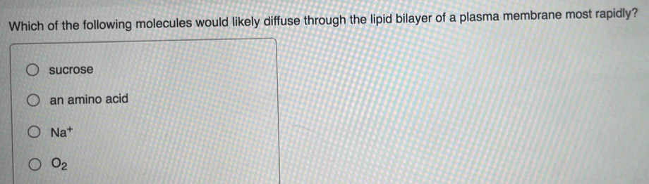Solved: Which of the following molecules would likely diffuse through the lipid bilayer of a ...