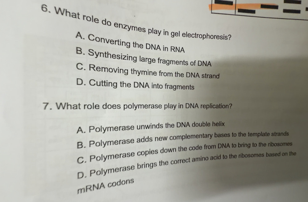 Solved: What role do enzymes play in gel electrophoresis? A. Converting ...